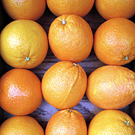 History | Sheppard Mullin