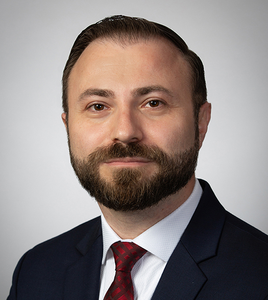 Leonard Lipsky | Sheppard Mullin